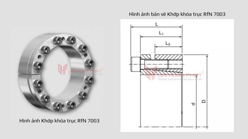 KHỚP KHÓA TRỤC RINGFEDER RFN 7003 - Đại Hồng Phát