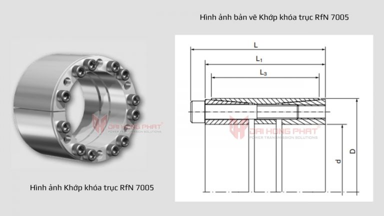 KHỚP KHÓA TRỤC RINGFEDER RFN 7005 - Đại Hồng Phát