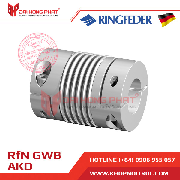 KHỚP KHÓA TRỤC RINGFEDER RFN 7005 - Đại Hồng Phát