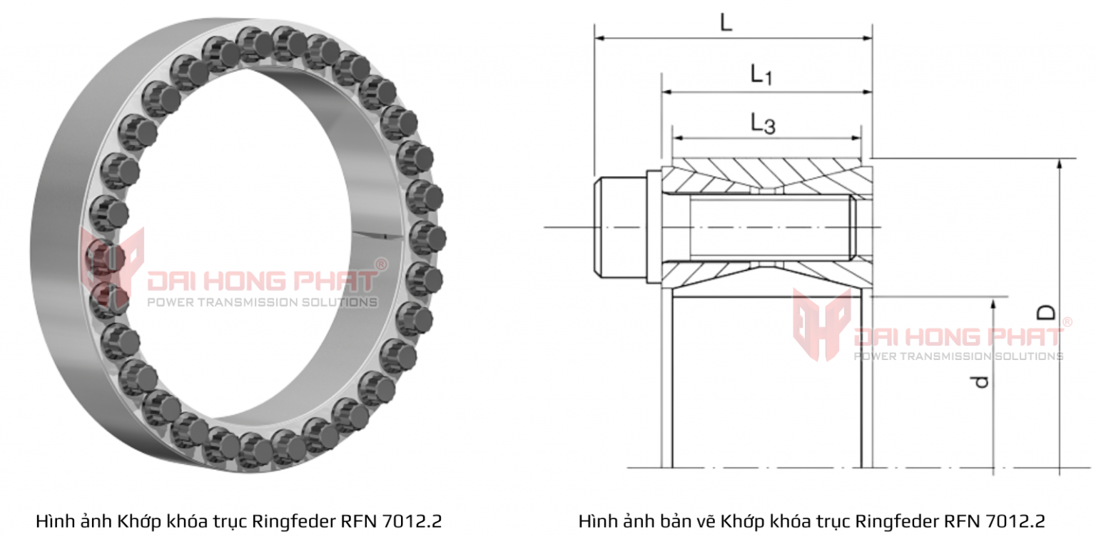 KHỚP KHÓA TRỤC RINGFEDER RFN 7012.2 - Đại Hồng Phát