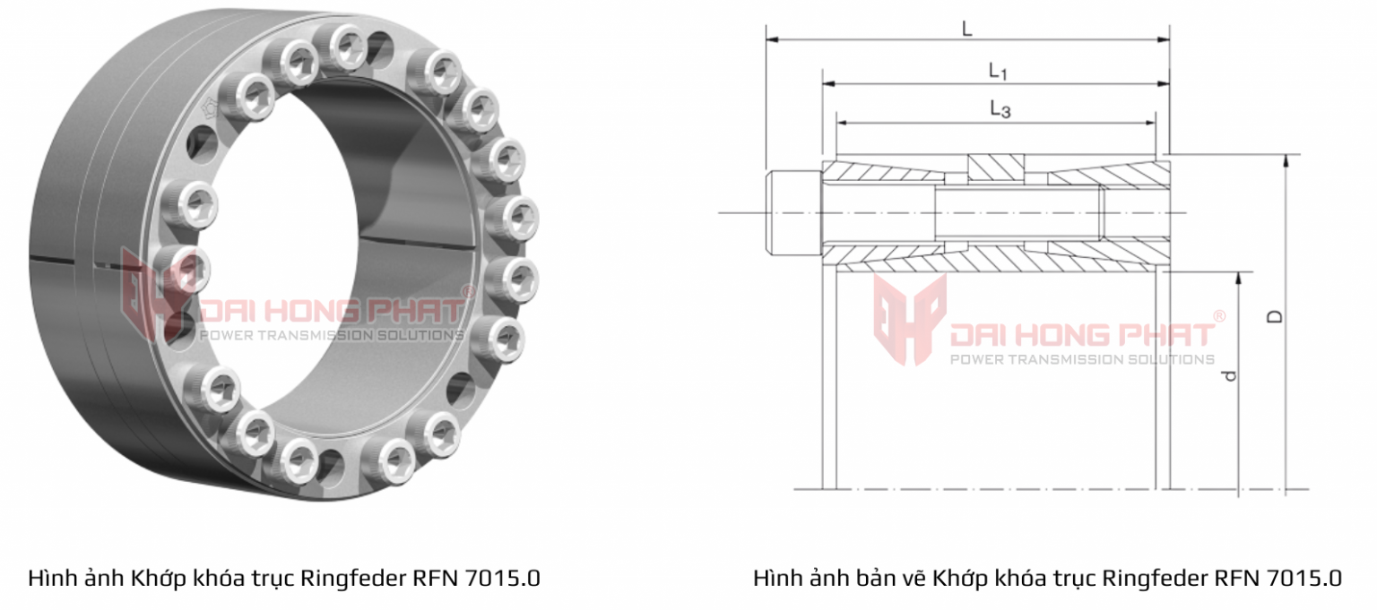 KHỚP KHÓA TRỤC RINGFEDER RFN 7015.0 - Đại Hồng Phát