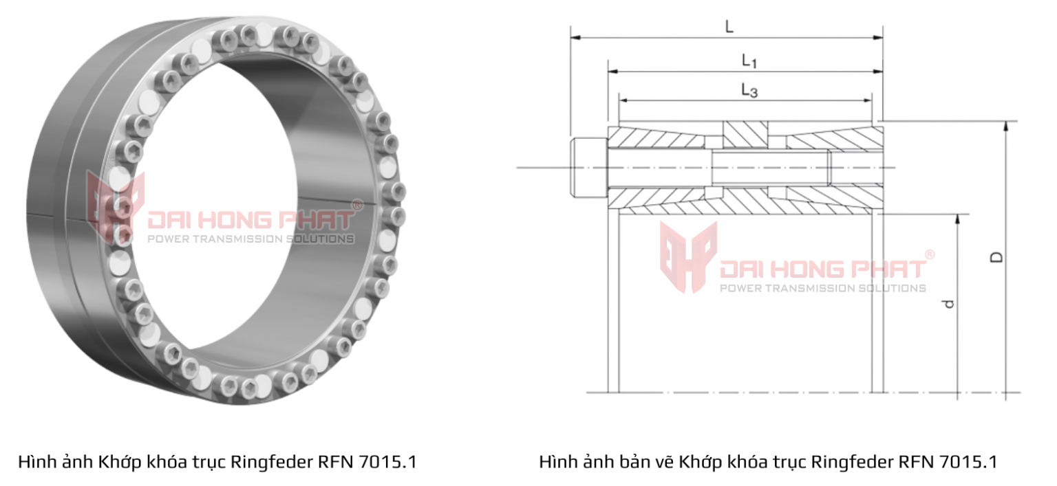 KHỚP KHÓA TRỤC RINGFEDER RFN 7015.1 - Đại Hồng Phát
