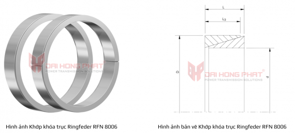 KHỚP KHÓA TRỤC RINGFEDER RFN 8006 - Đại Hồng Phát